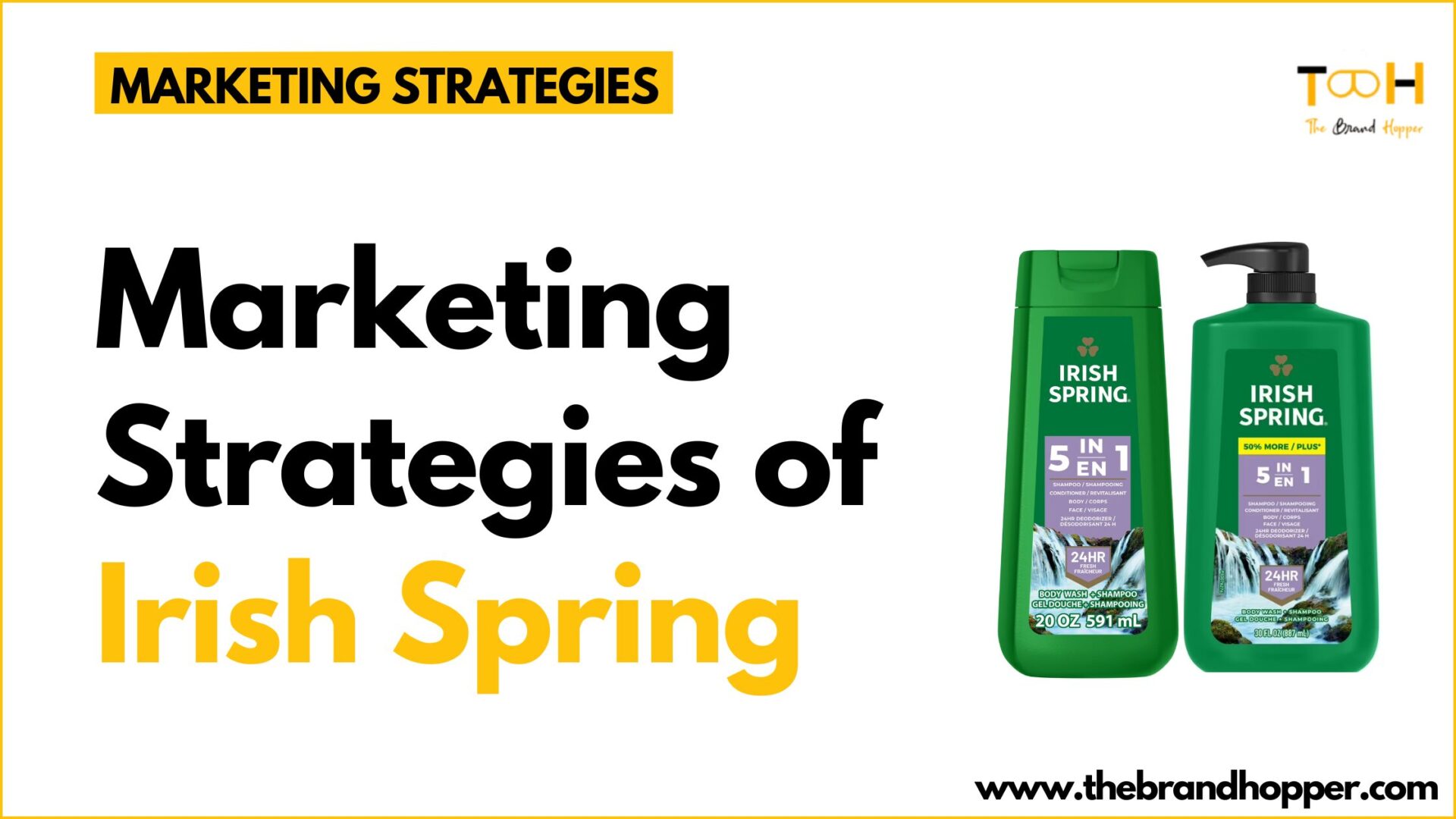 Marketing Strategy and Marketing Mix of Shein